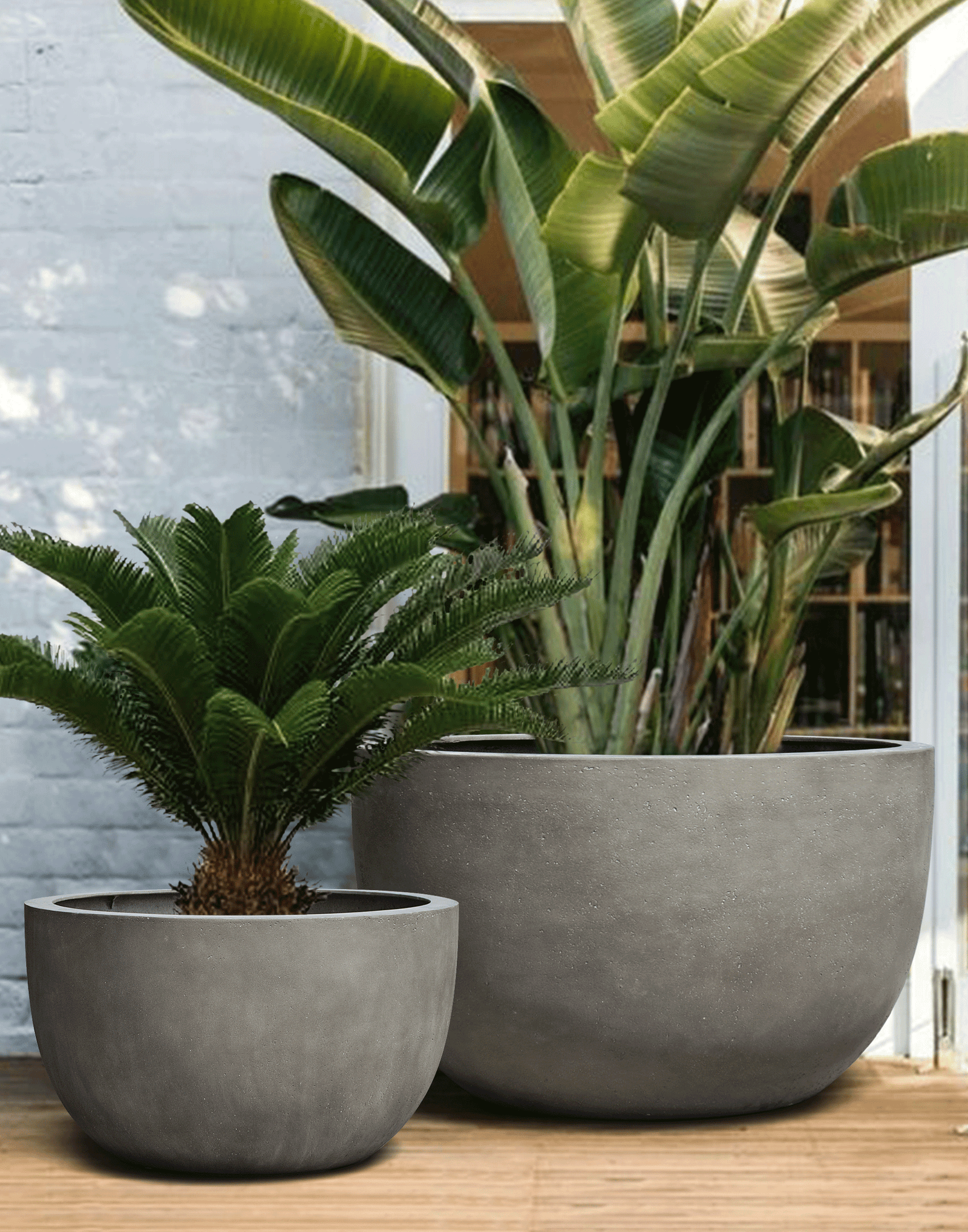 Pflanzkübel & Design-Pflanzgefäße – ESCHBACH Premium
