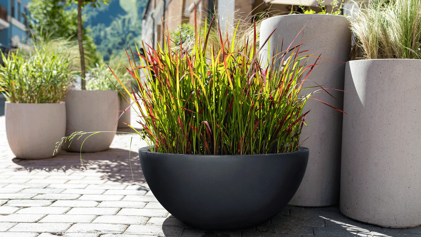 Pflanzkübel & Design-Pflanzgefäße – ESCHBACH Premium
